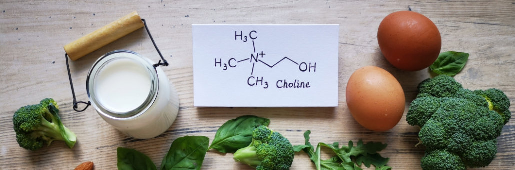 Cholina występowanie, witamina B4 właściwości - Apo-Discounter.pl