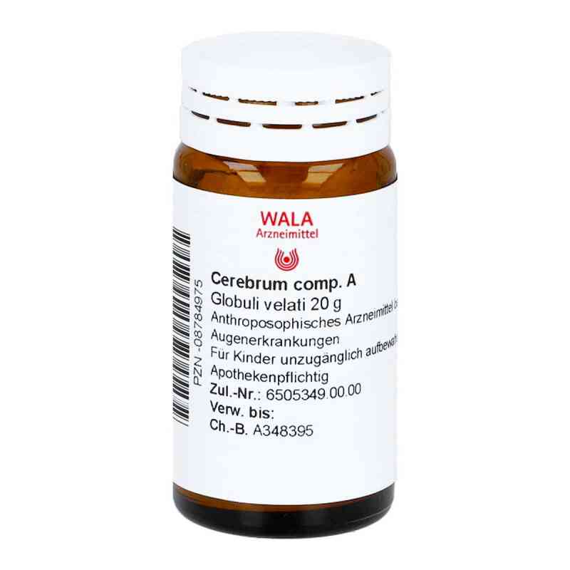 Cerebrum Comp. A w granulkach 20 g kup online