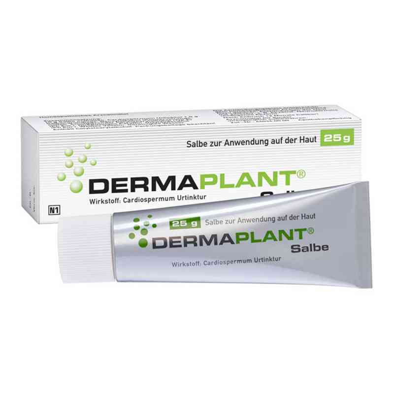 Dermaplant Salbe 25 g kup online | apteka internetowa apo-discounter.pl