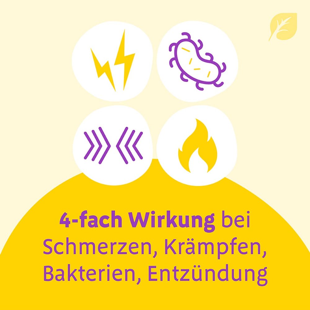 Canephron Uno überzogene tabletki 60 szt. | apteka internetowa apo ...