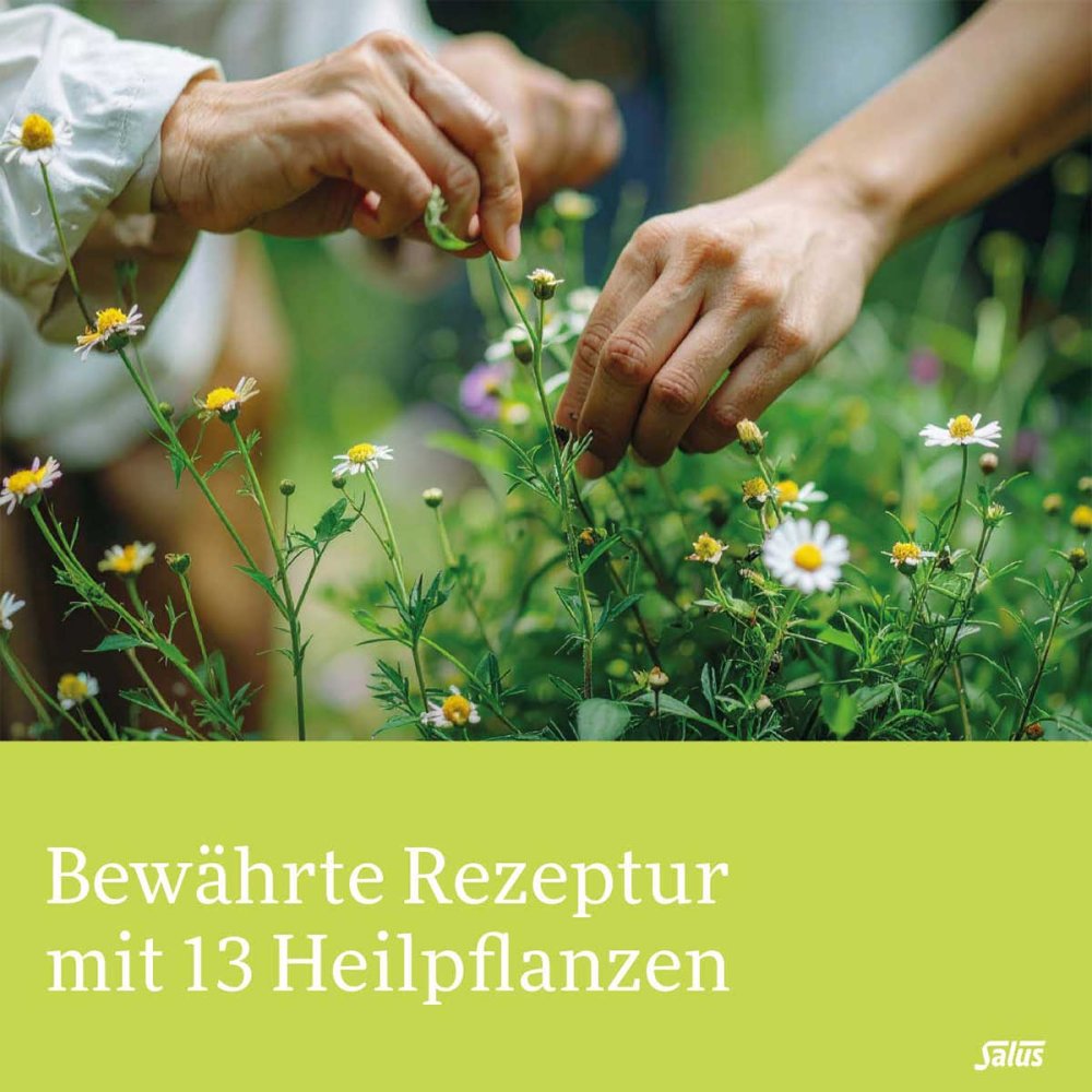 Gallexier Kräuterbitter Elixier Salus Flü.z.e. 3X20 ml