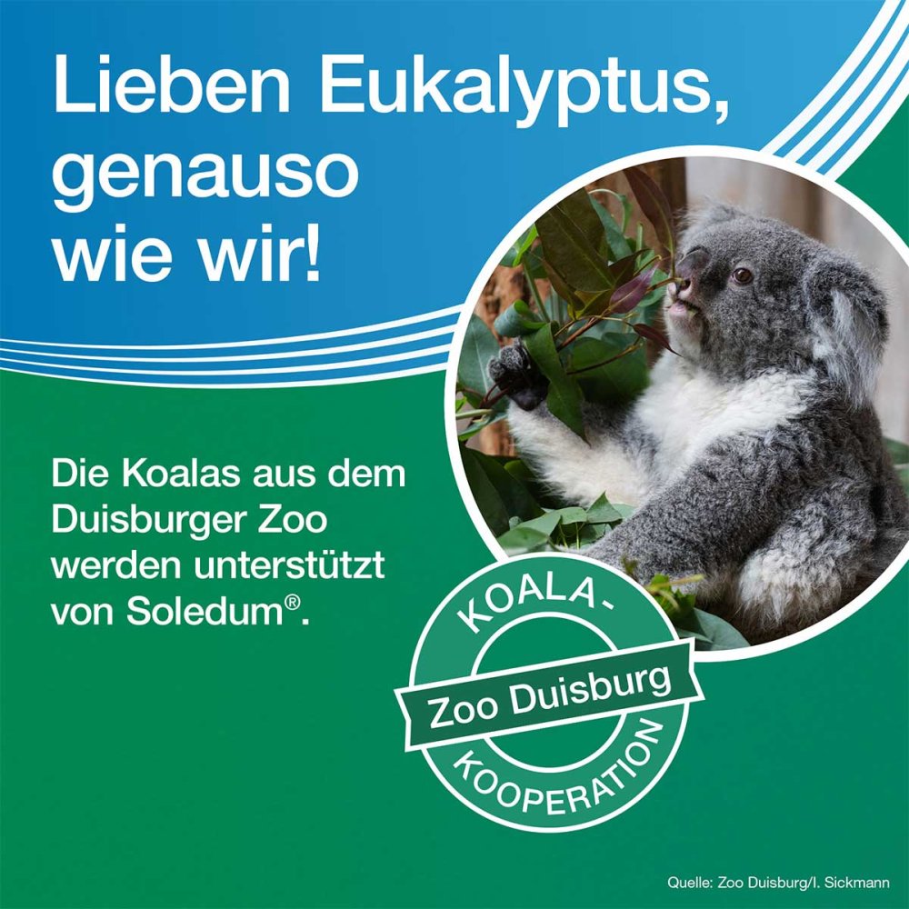 Soledum forte, kapsułki 200 mg 50 szt. | apteka internetowa apo ...